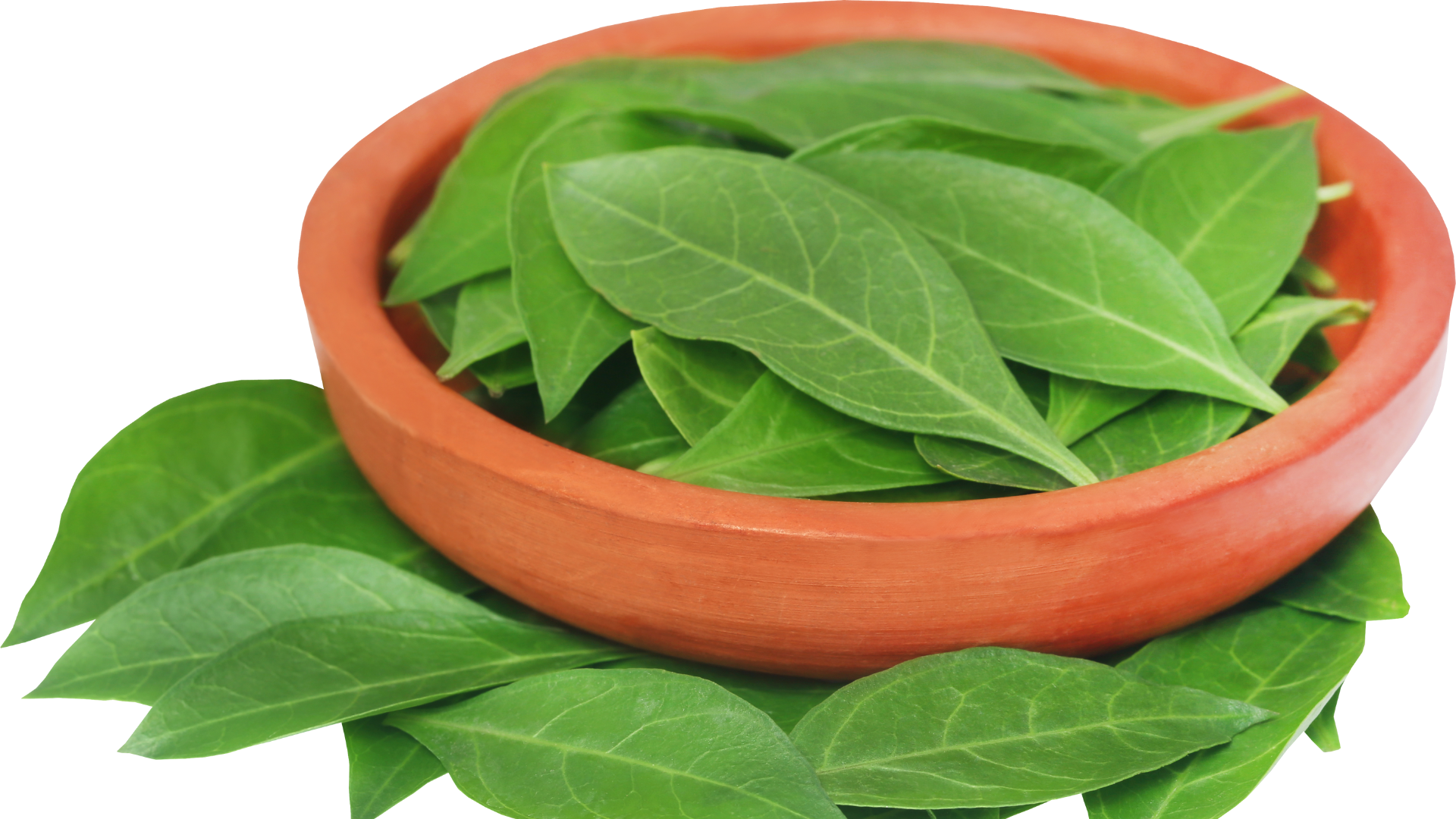 10 Incredible Uses of Henna Powder You Need to Know - Bathslice